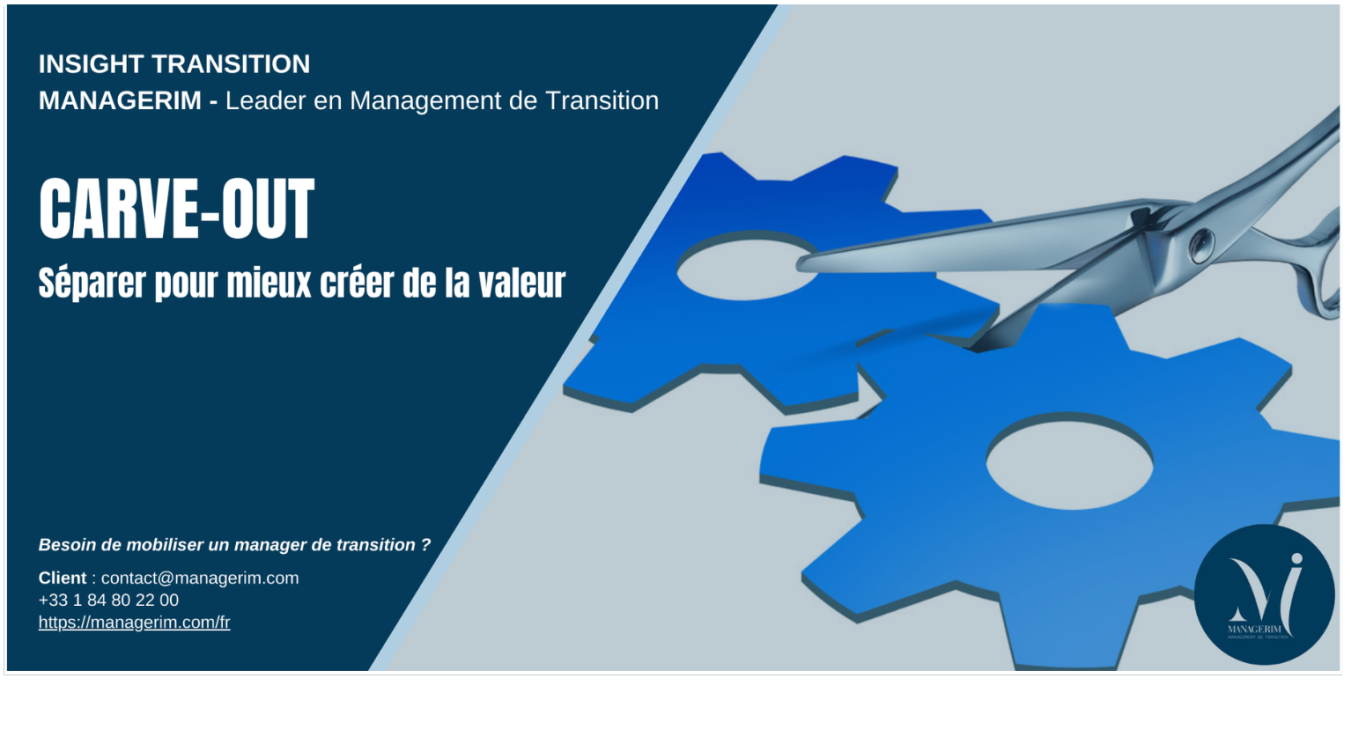MANAGERIM | Management de Transition